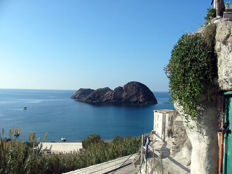 Palmarola , Natura Mediterraneo | Forum Naturalistico