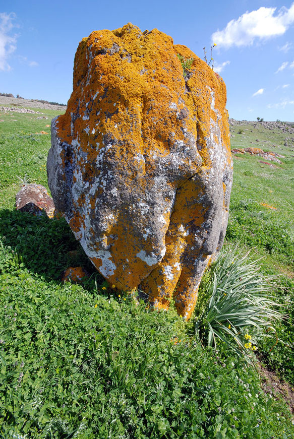 I licheni di Monte Lauro , Natura Mediterraneo | Forum Naturalistico