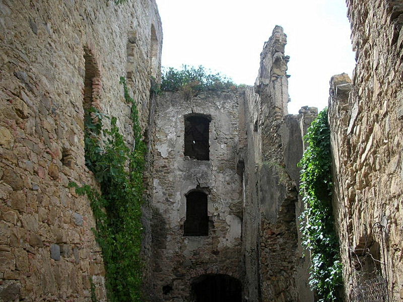 Bussana Vecchia , Natura Mediterraneo | Forum Naturalistico